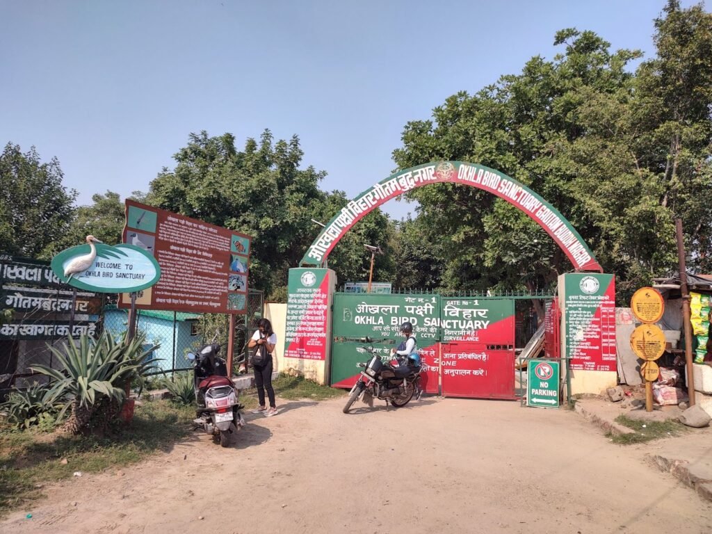 Okhla Bird Sanctuary: Explore Delhi’s Best Birdwatching Spot